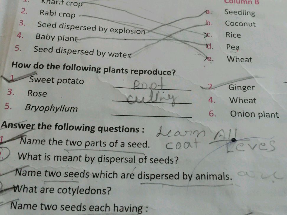 How do the following plants reproduce? 1. | StudyX