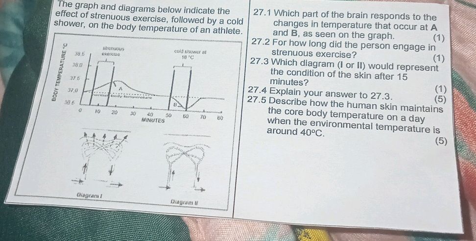 27.1 Which part of the brain responds to the | StudyX