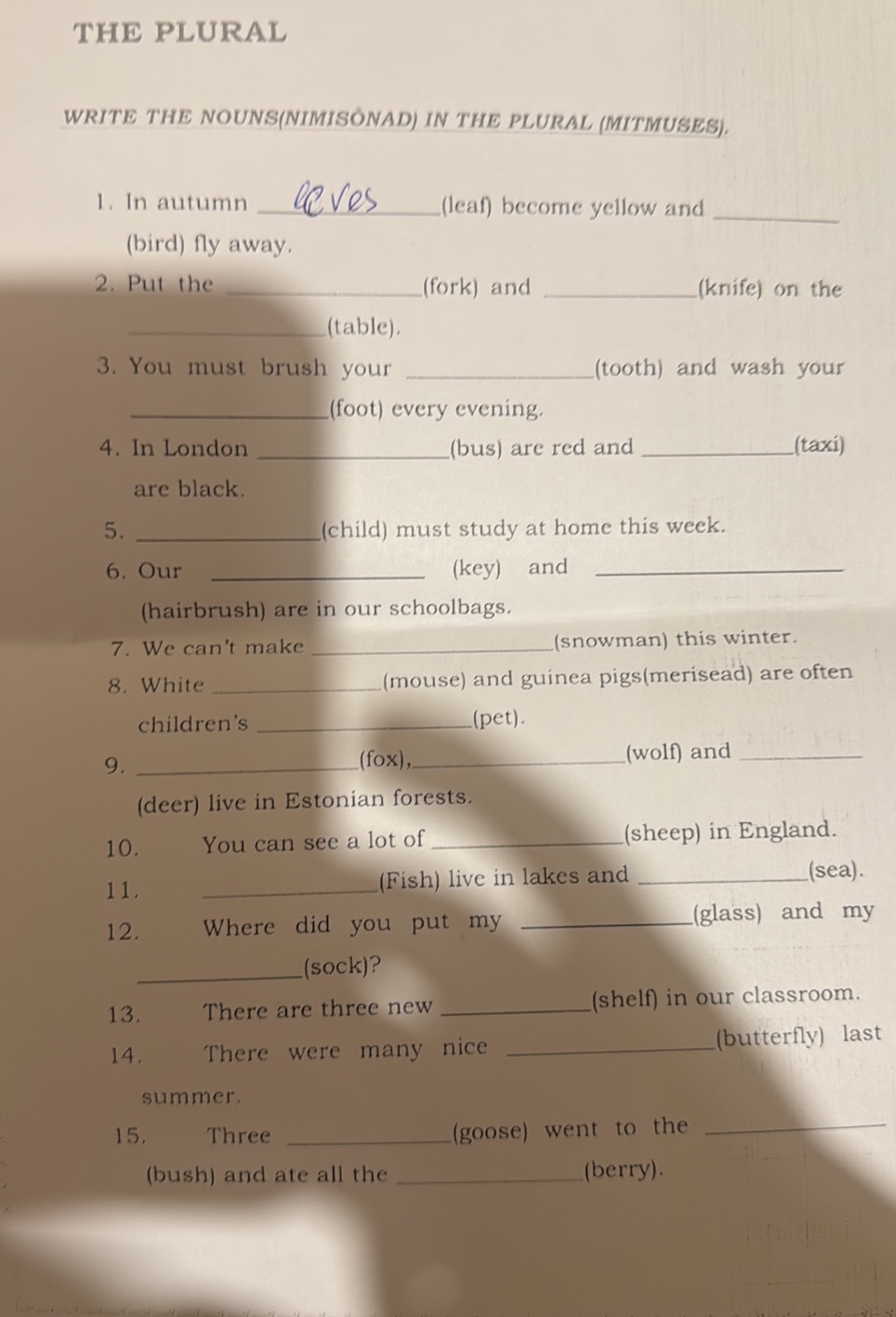 THE PLURAL WRITE THE NOUNS(NIMISÕNAD) IN | StudyX
