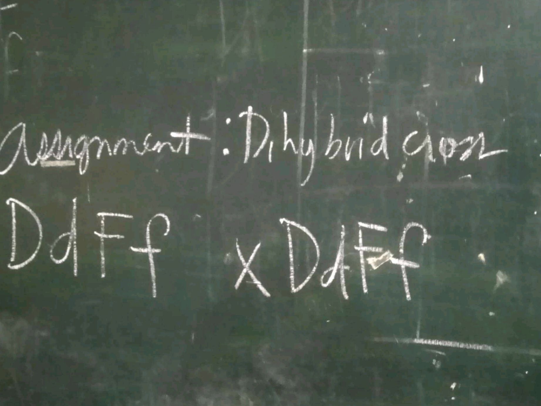 Dihybrid Cross Example