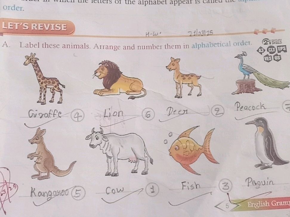 A. Label these animals. Arrange and number | StudyX