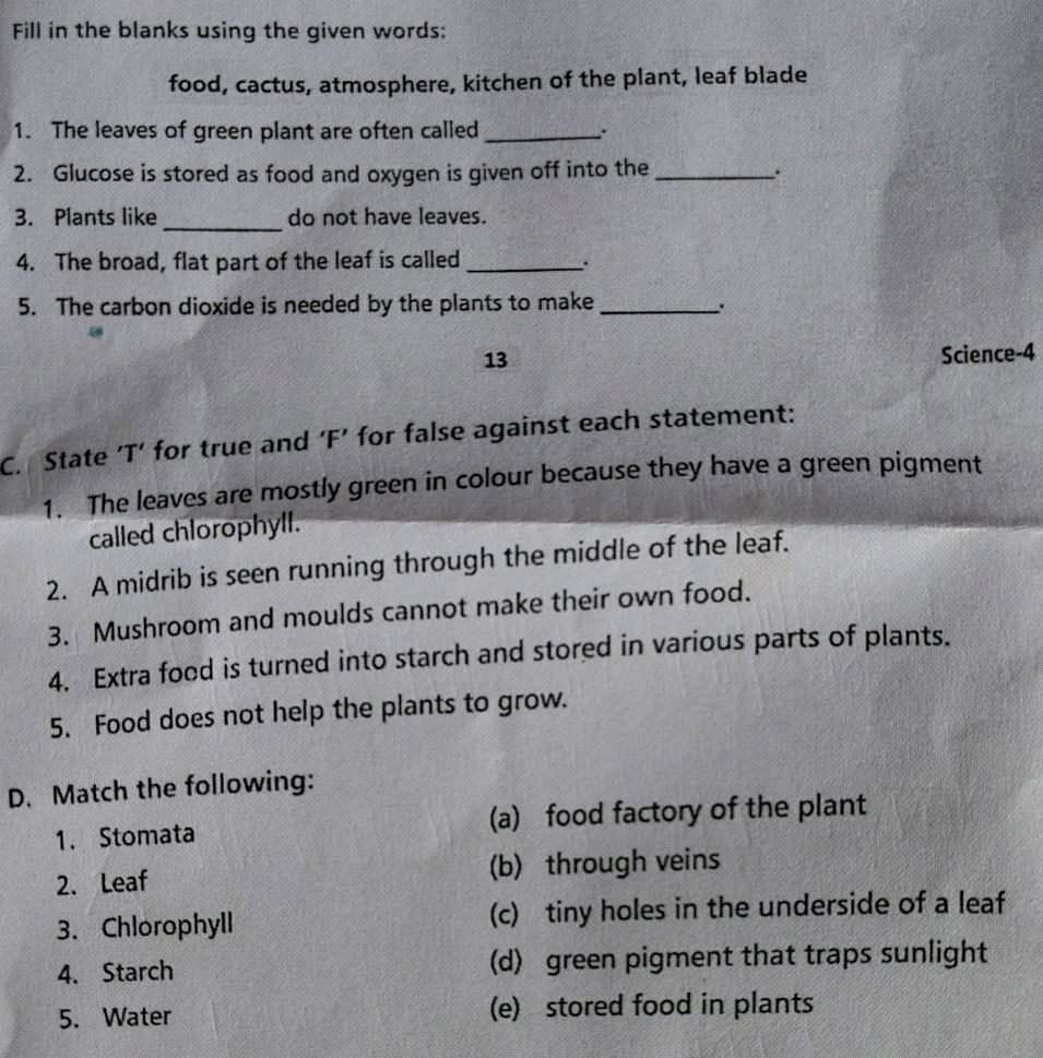 Fill in the blanks using the given words: | StudyX