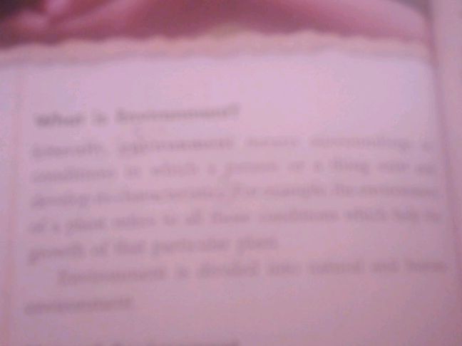 What is Environment? Generally, environment