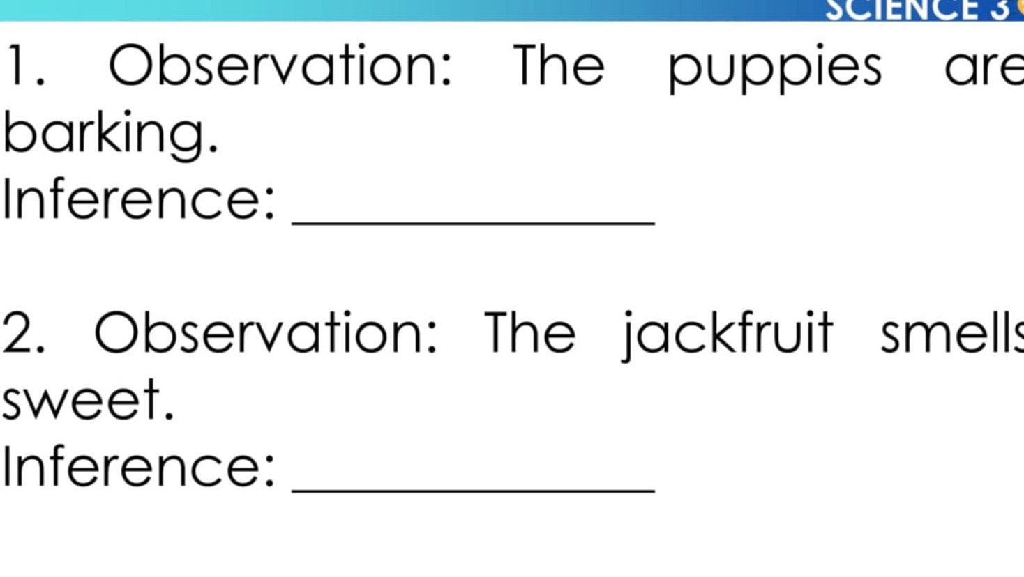 1. Observation: The puppies are barking. | StudyX