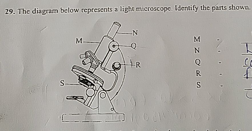 29. The diagram below represents a light | StudyX