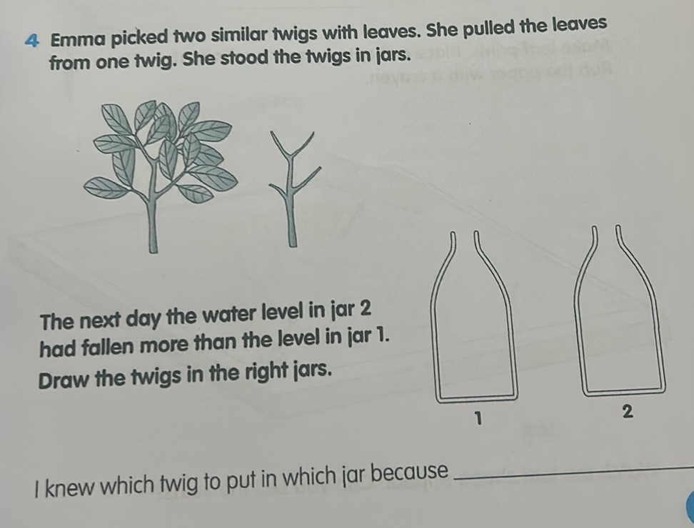 4 Emma picked two similar twigs with leaves.