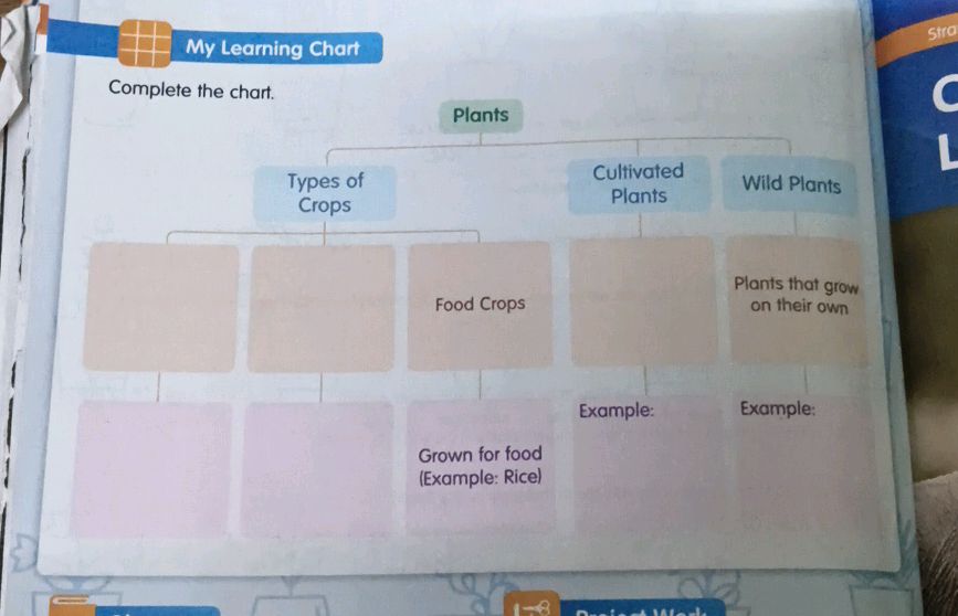 My Learning Chart Complete the chart. Types | StudyX