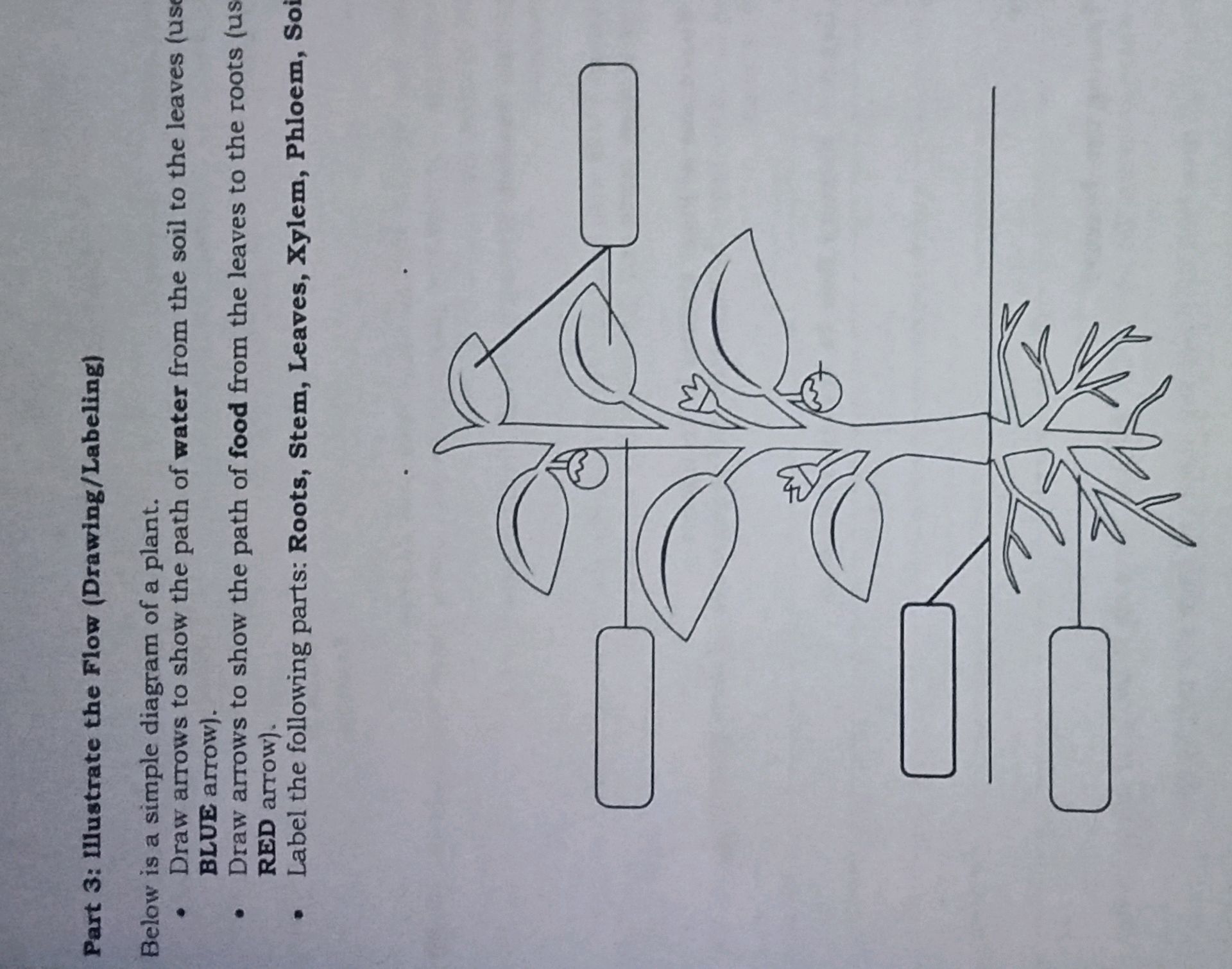 Part 3: Illustrate the Flow | StudyX