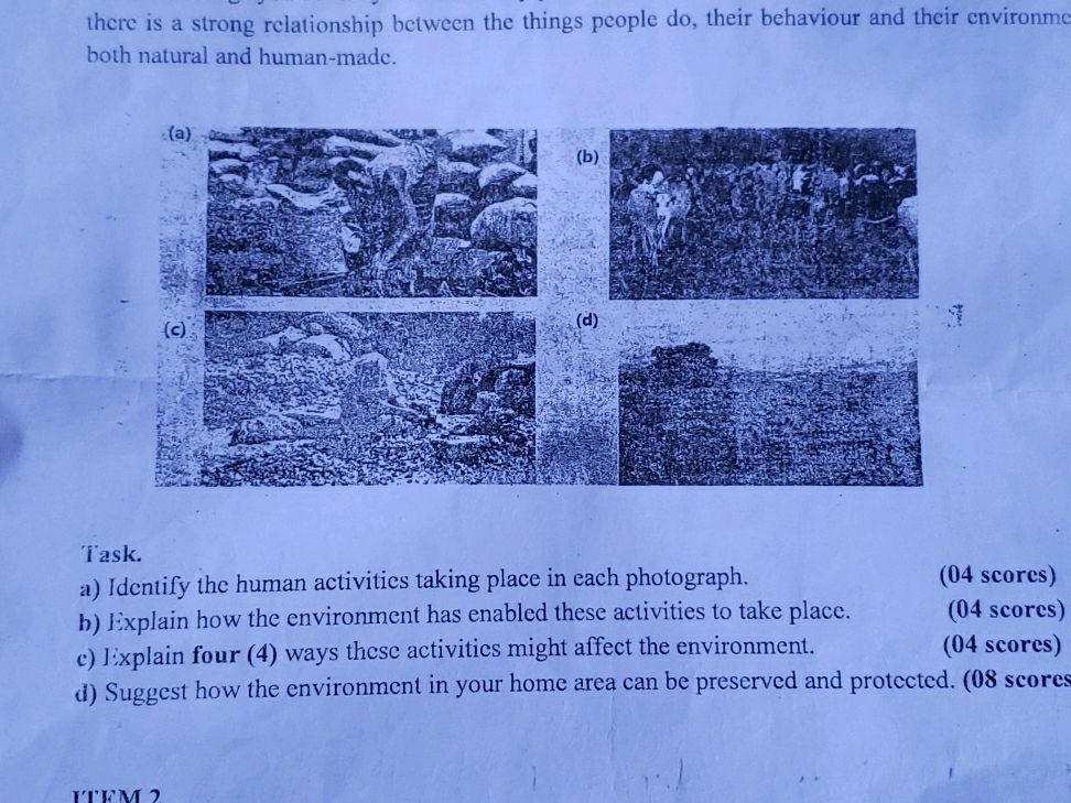Task. a) Identify the human activities | StudyX