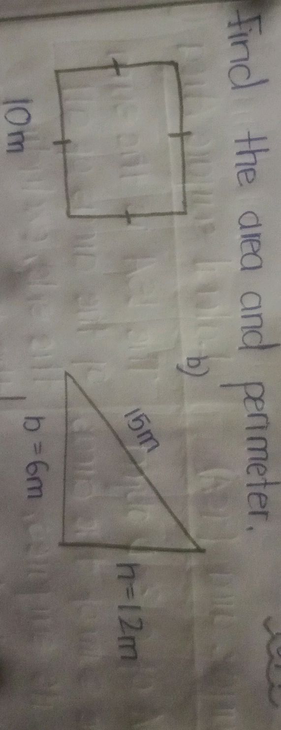 Find the area and perimeter. b) 10m 15m | StudyX