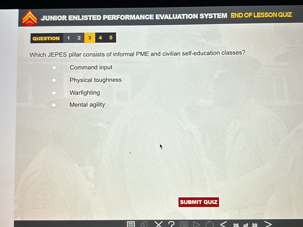 Which JEPES pillar consists of informal PME