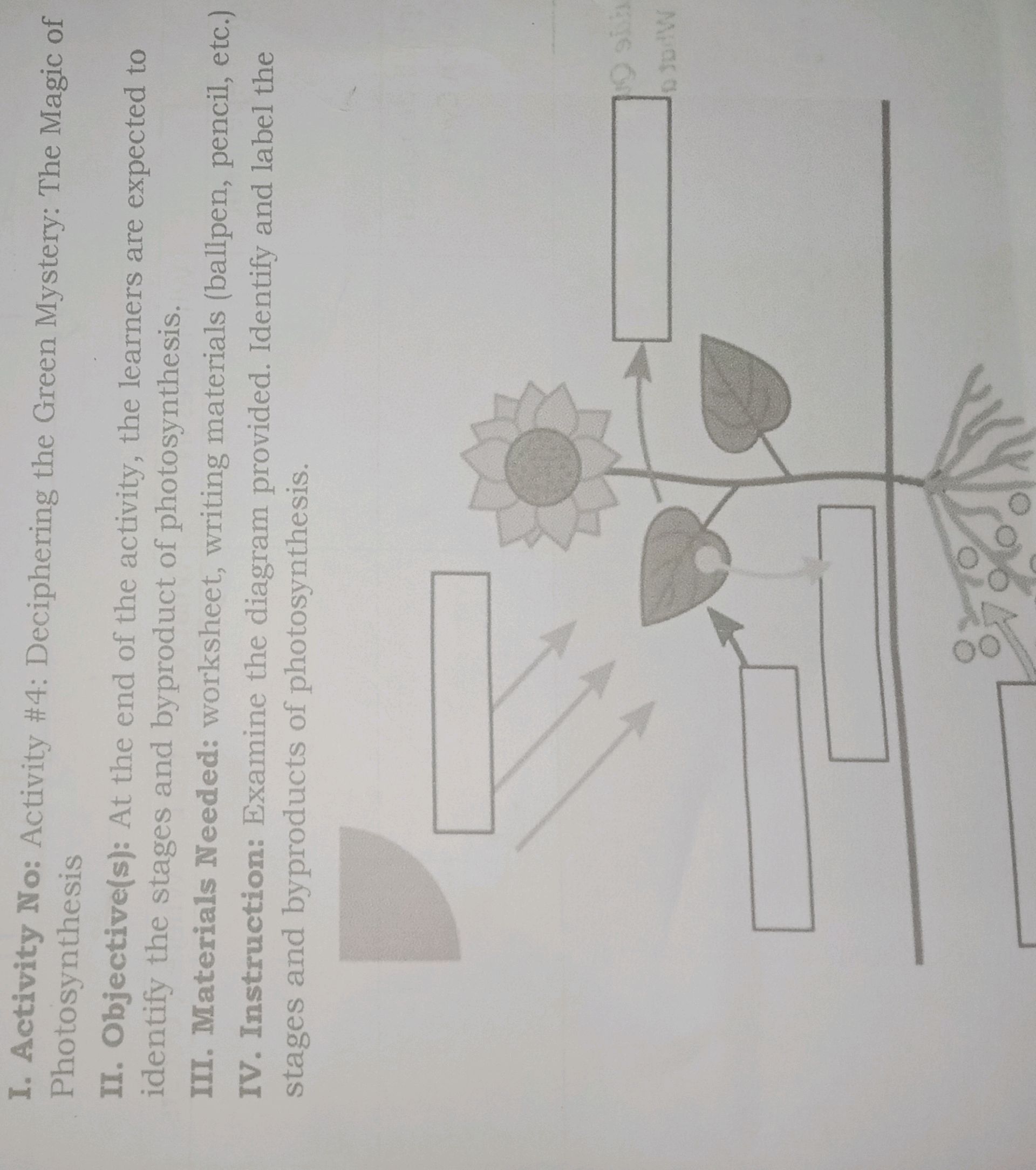 I. Activity No: Activity #4: Deciphering the | StudyX