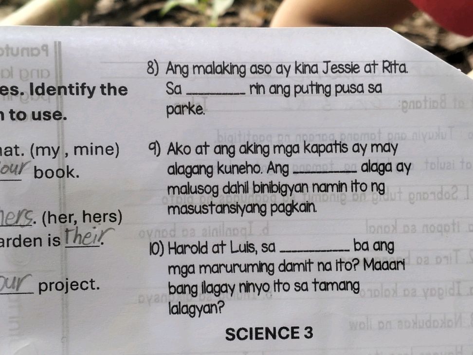 8) Ang malaking aso ay kina Jessie at Rita. | StudyX