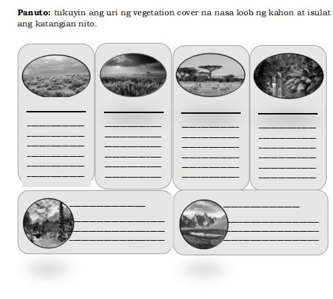 Panuto: tukuyin ang uri ng vegetation cover | StudyX