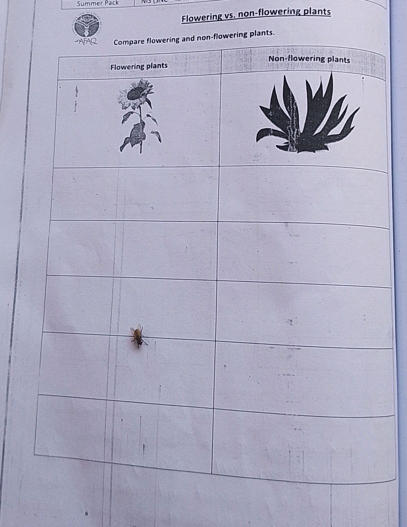 Flowering vs. non-flowering plants Compare | StudyX