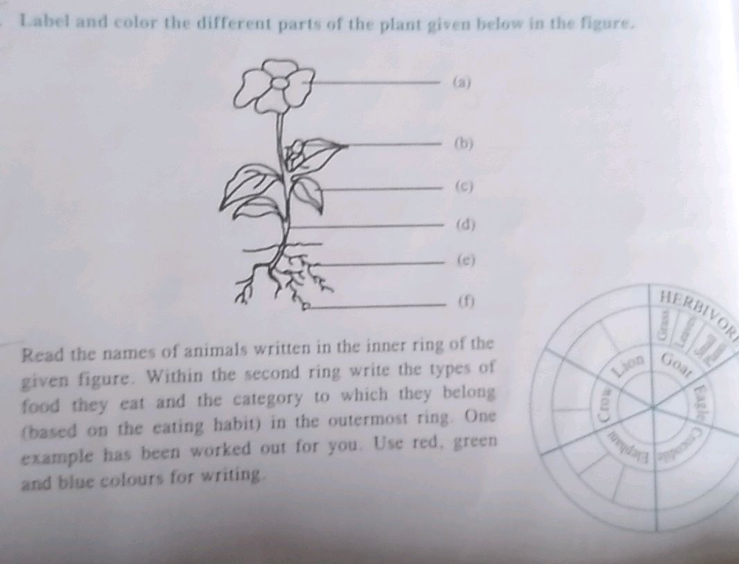 1. Label and color the different parts of | StudyX