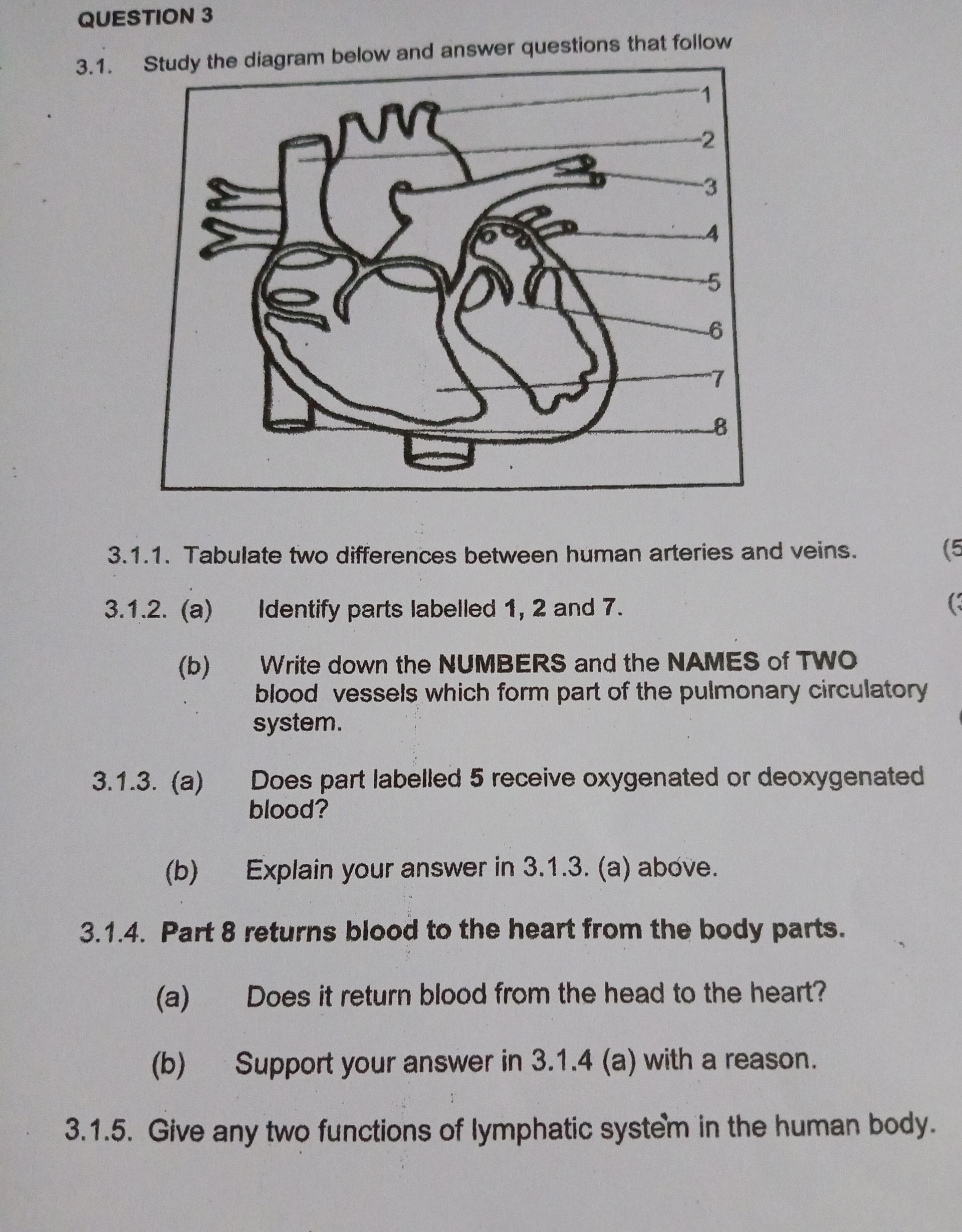3.1. Study the diagram below and answer | StudyX