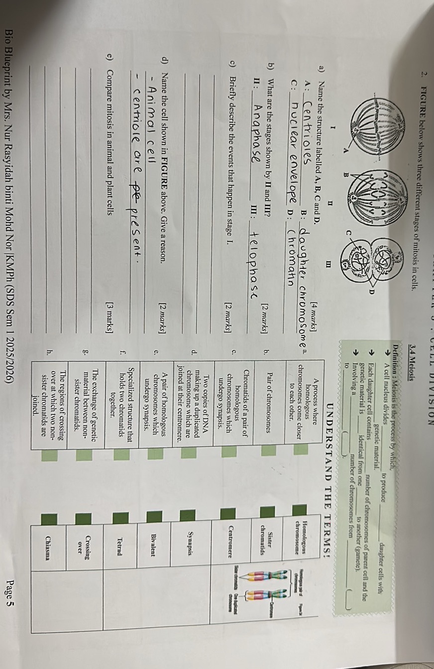 2. FIGURE below shows three different stages | StudyX