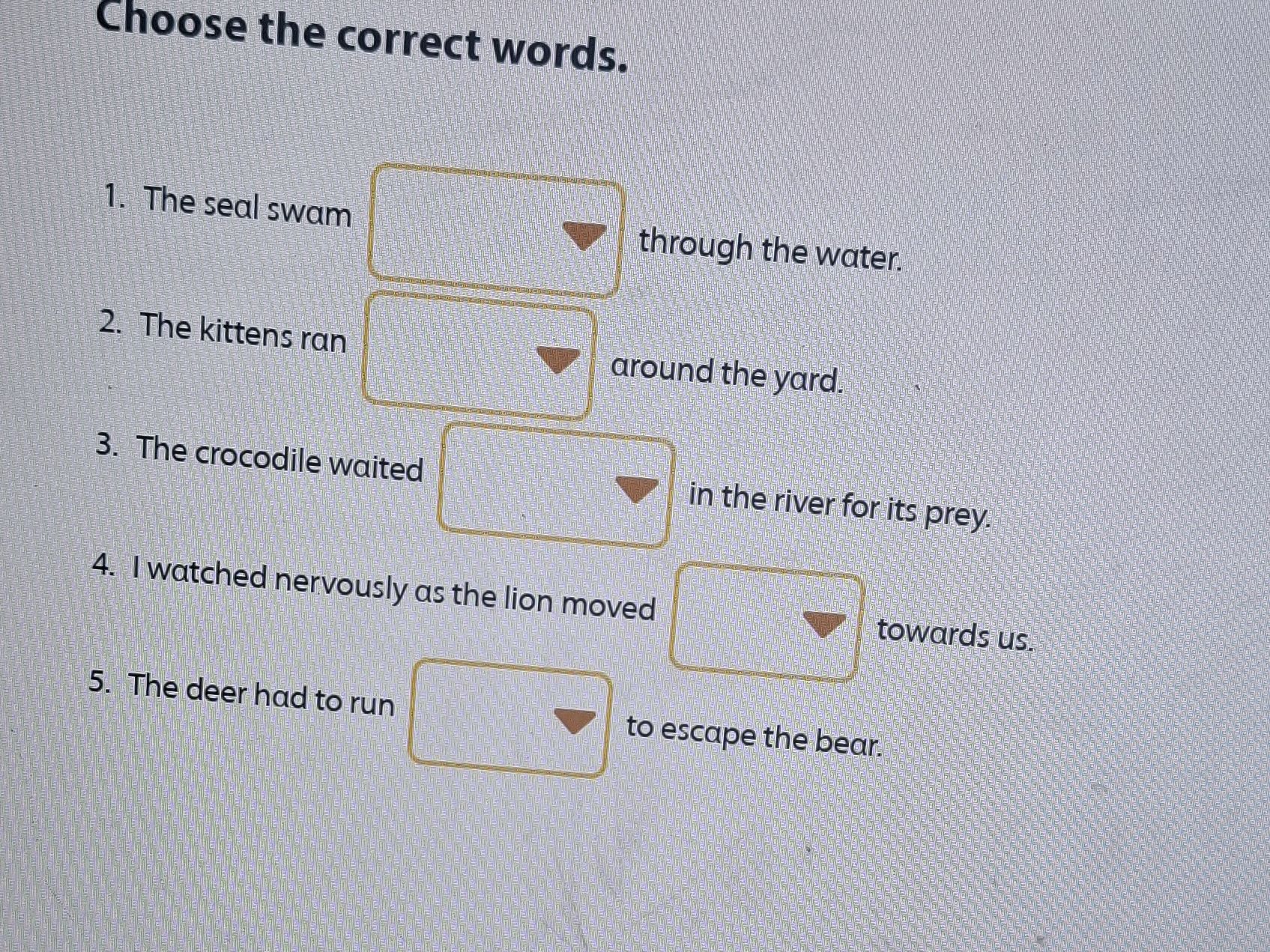 Choose the correct words. 1. The seal swam | StudyX