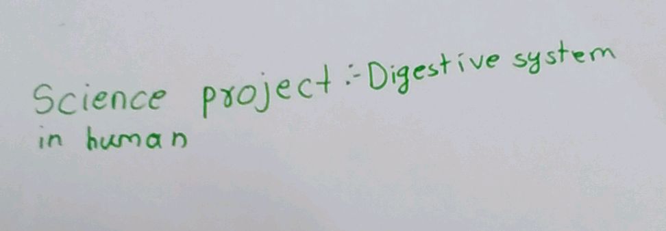 Science project :- Digestive system in human | StudyX