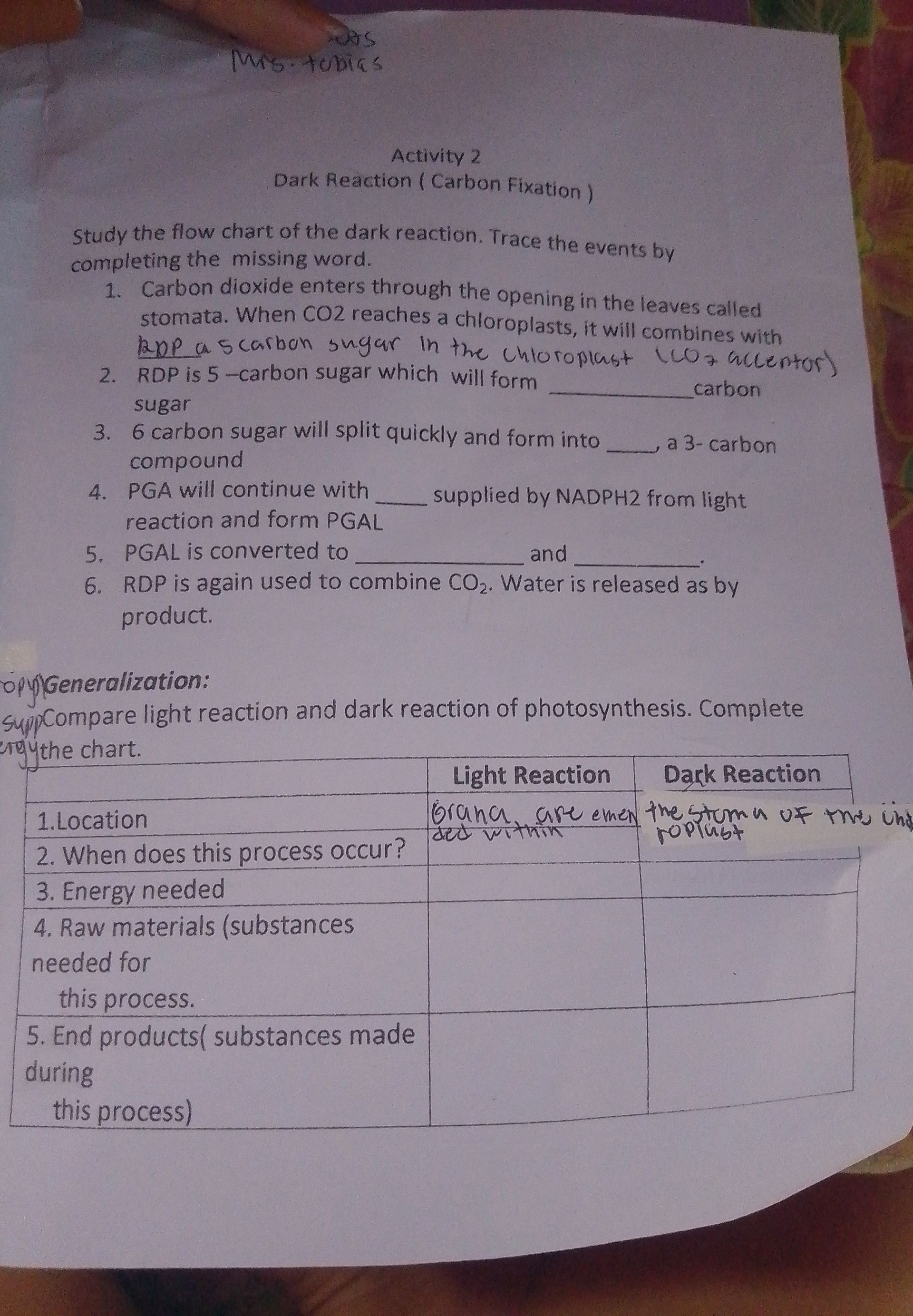 Study the flow chart of the dark reaction.