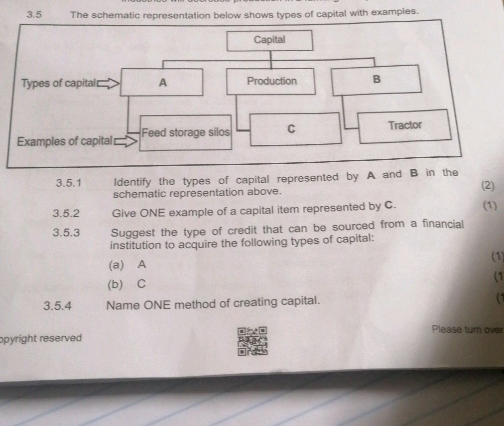 3. 5 The schematic representation below | StudyX