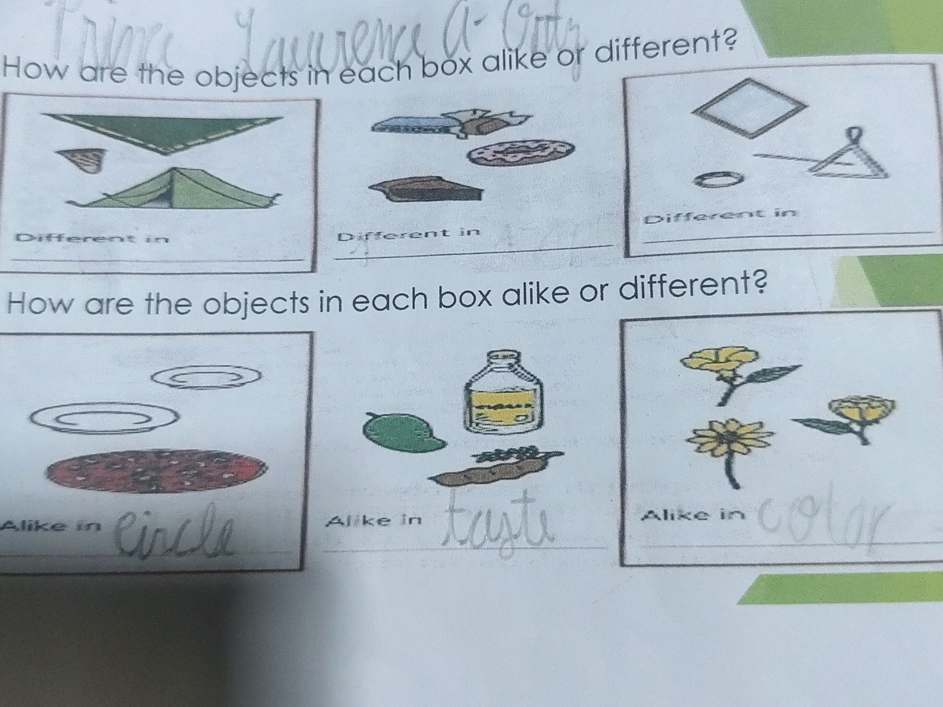 How are the objects in each box alike or | StudyX