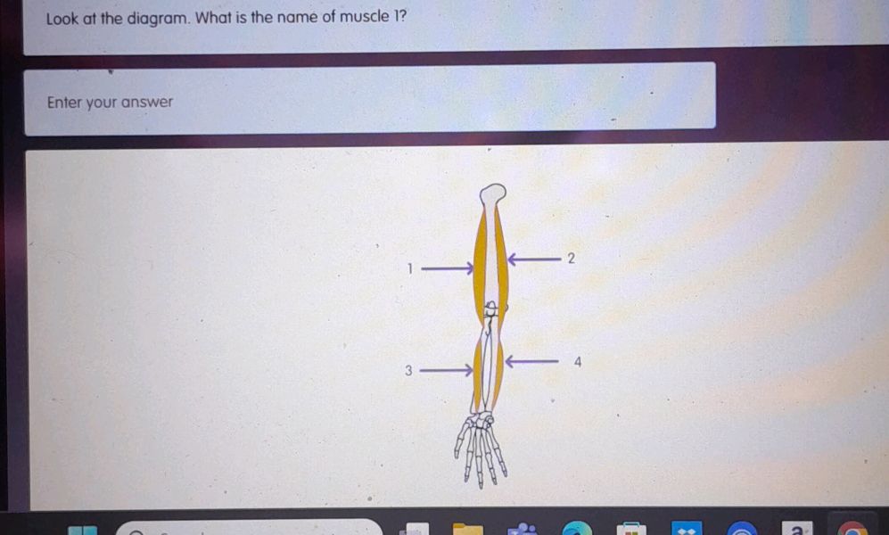 Look at the diagram. What is the name of | StudyX
