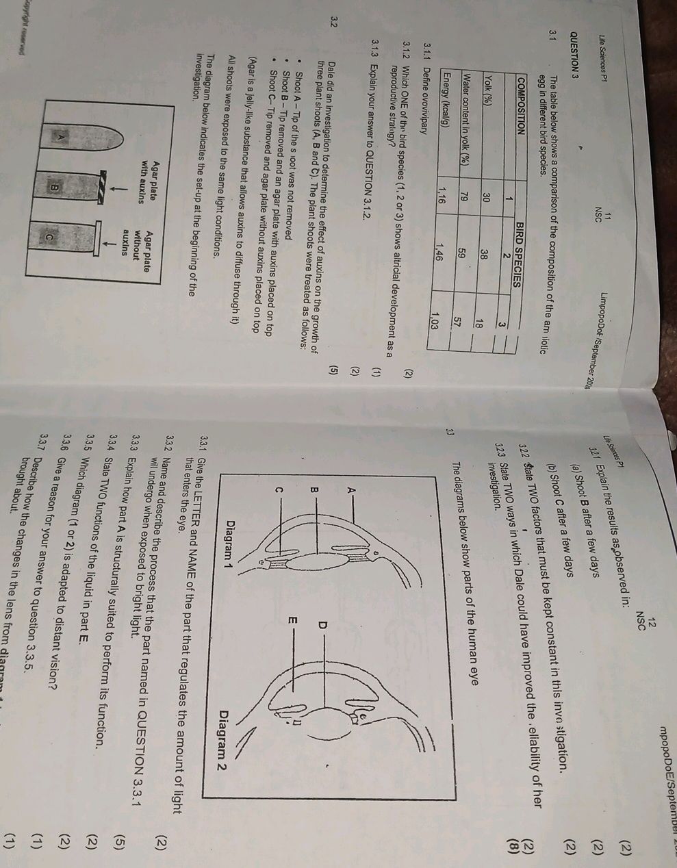 QUESTION 3 The table below shows a | StudyX