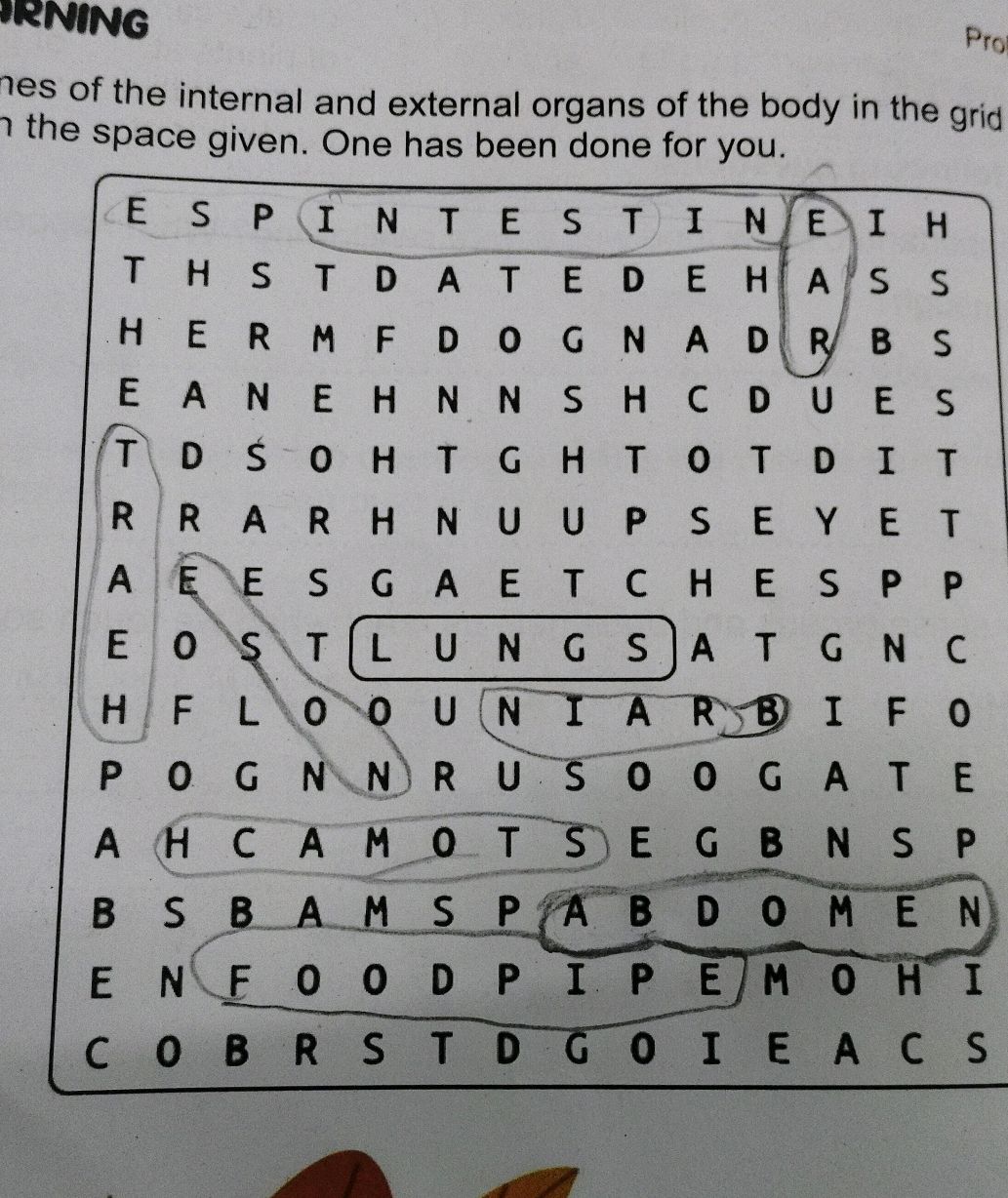 Find the names of the internal and external | StudyX