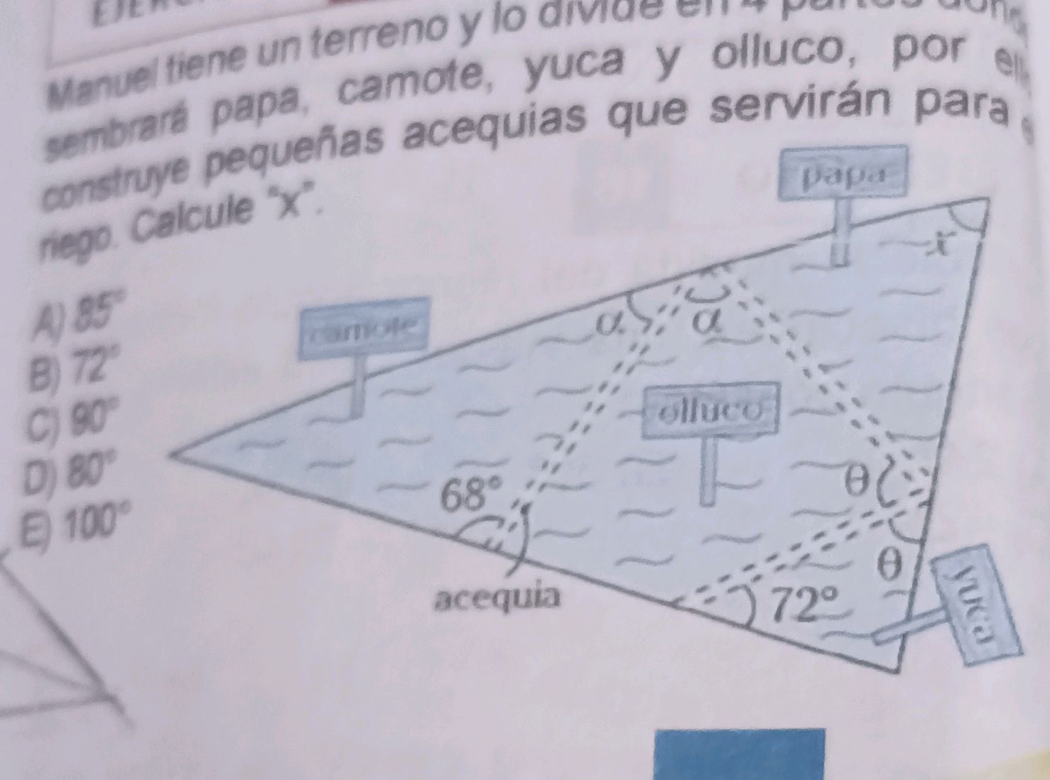 Manuel tiene un terreno y lo divide en 4