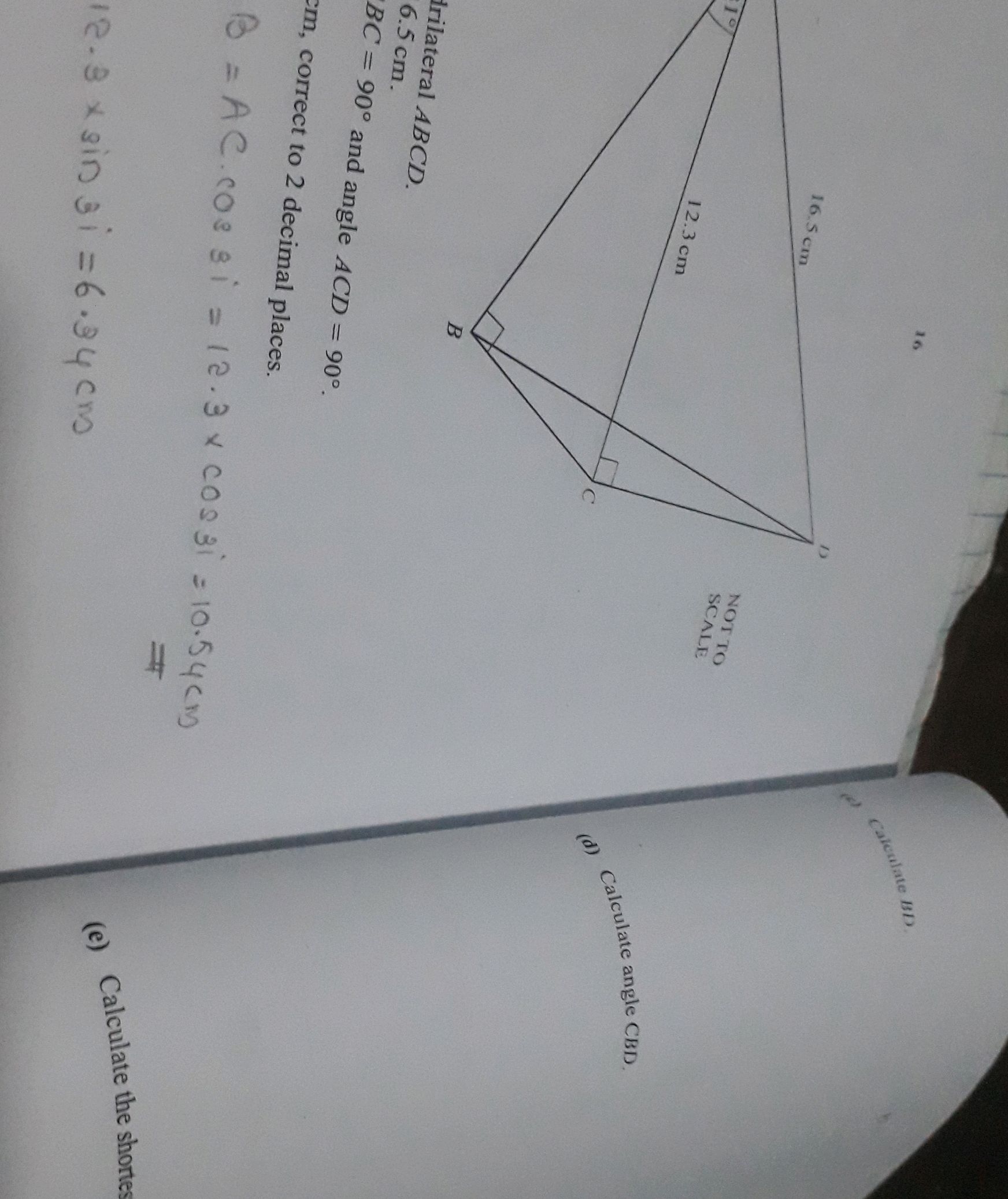 (c) Calculate BD (d) Calculate angle CBD | StudyX