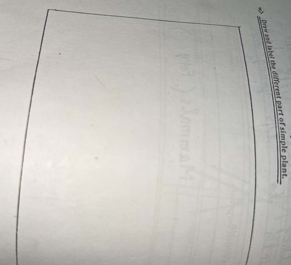 Draw and label the different part of simple | StudyX