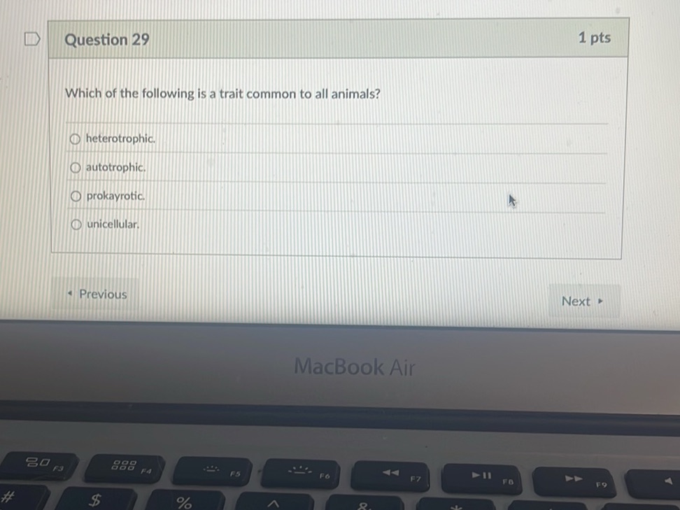 Which of the following is a trait common to | StudyX