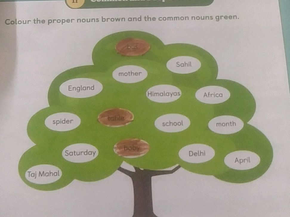 Colour the proper nouns brown and the common | StudyX