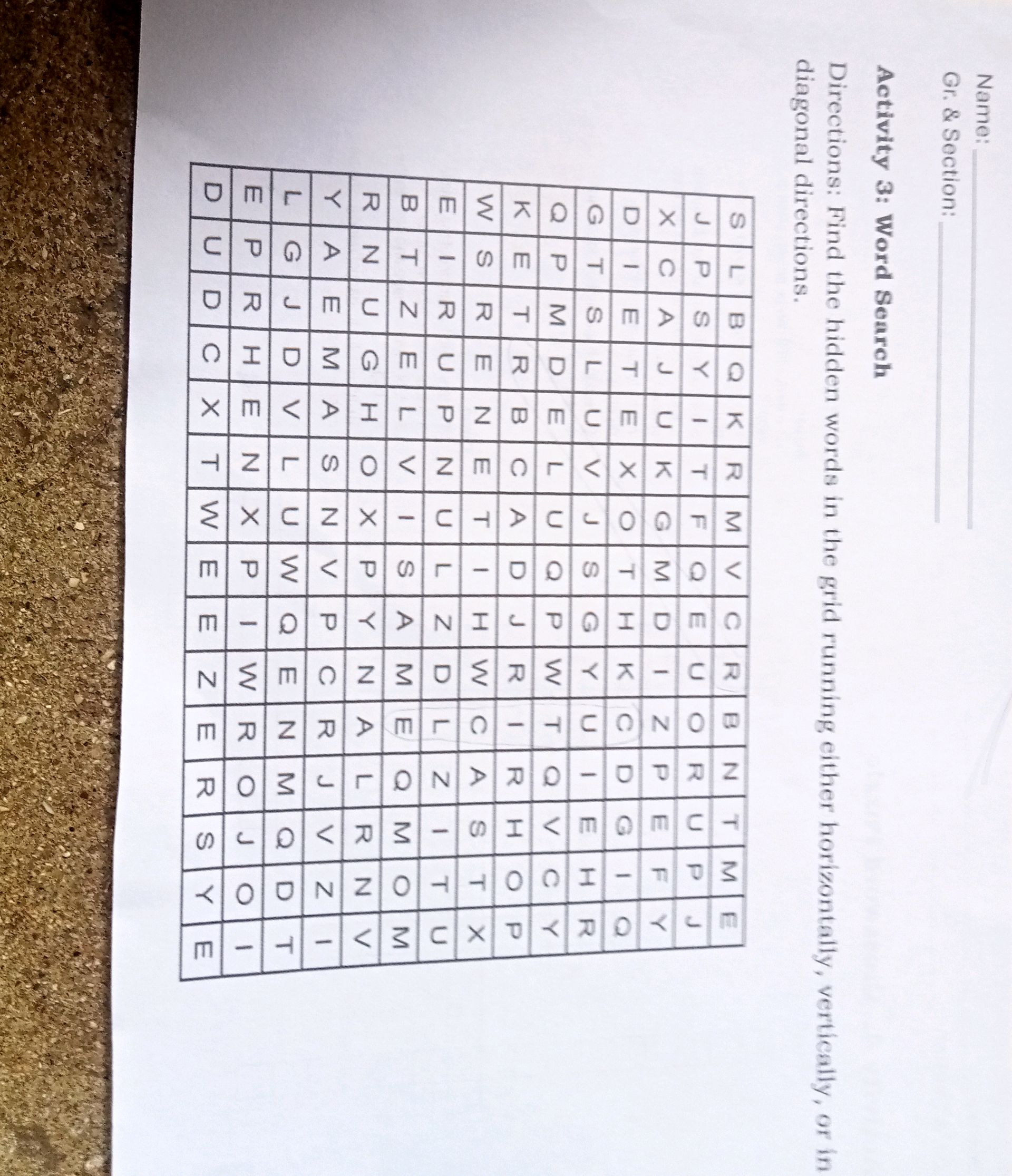 Directions: Find the hidden words in the | StudyX