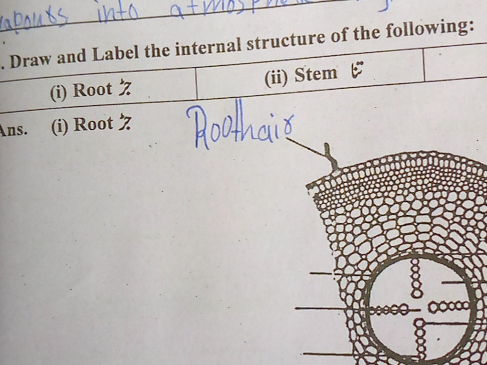 Draw and Label the internal structure of the | StudyX