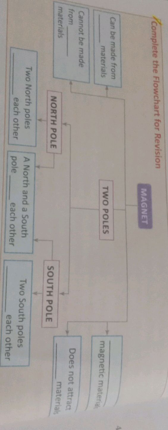 Complete the Flowchart for Revision MAGNET | StudyX
