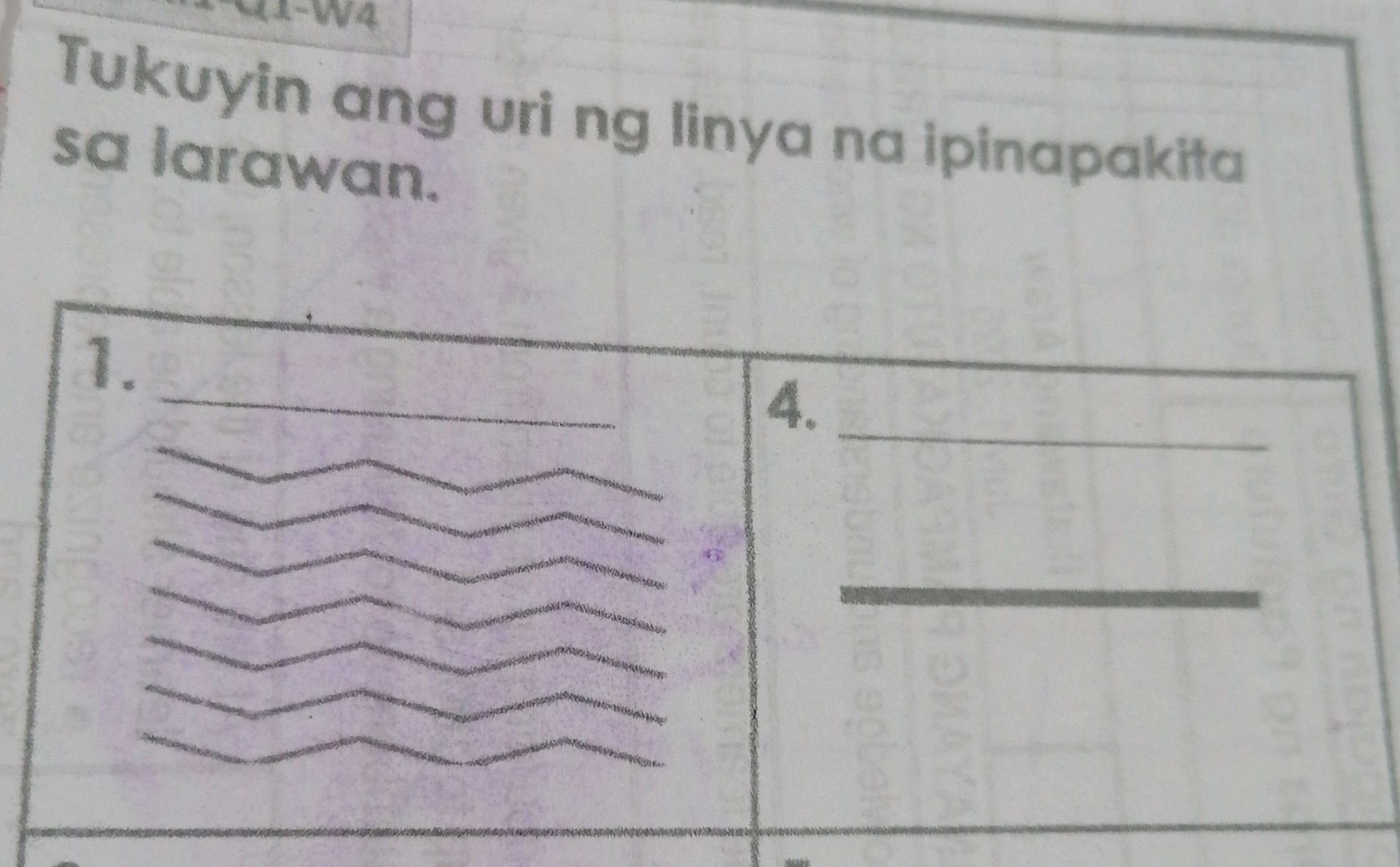 Tukuyin ang uri ng linya na ipinapakita sa | StudyX