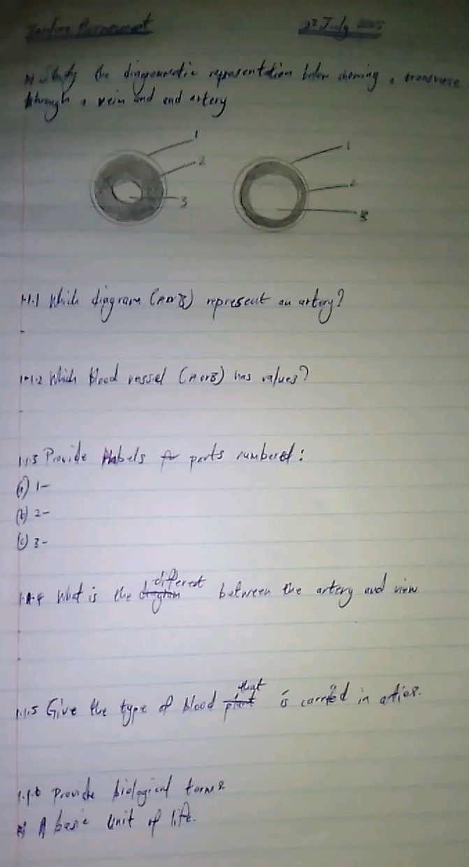 Study the diagrammatic representation below | StudyX
