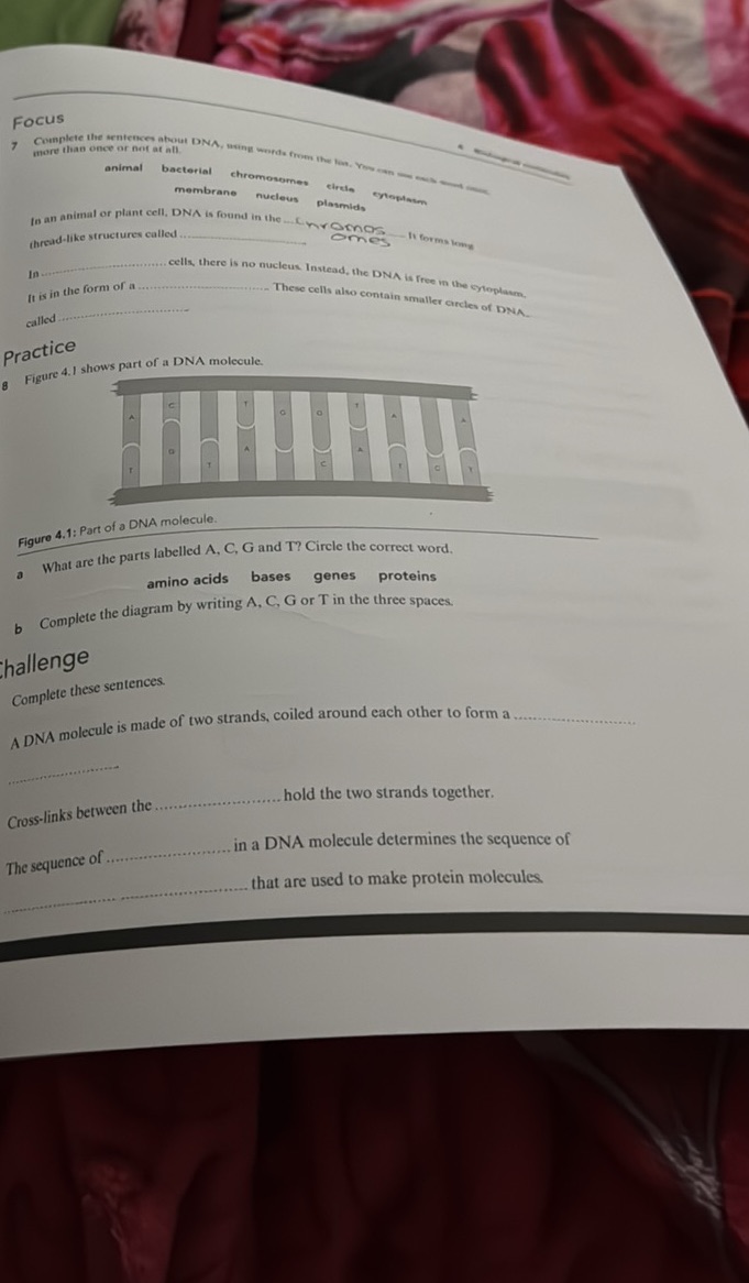 7 Complete the sentences about DNA, using | StudyX