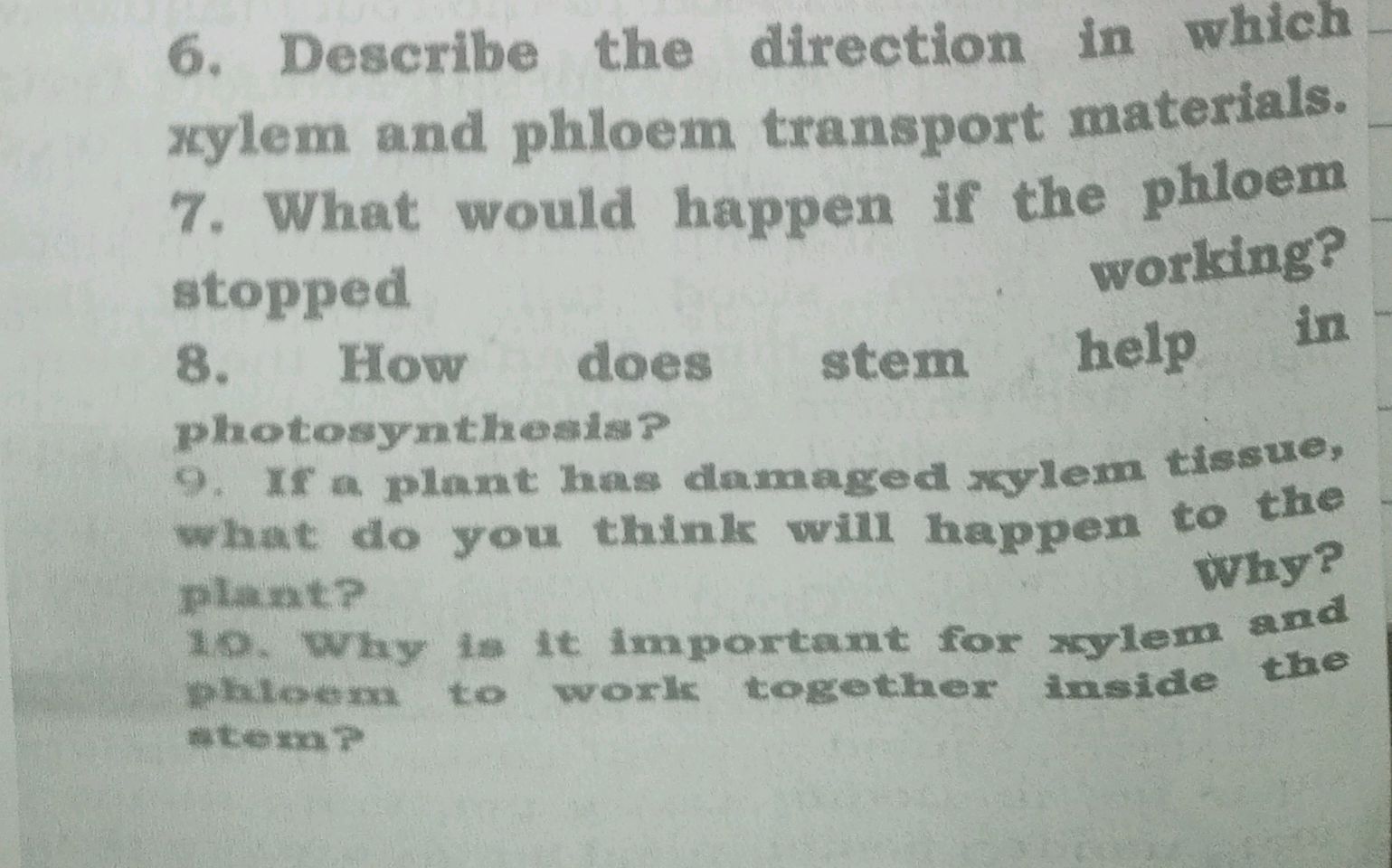 6. Describe the direction in which xylem and | StudyX