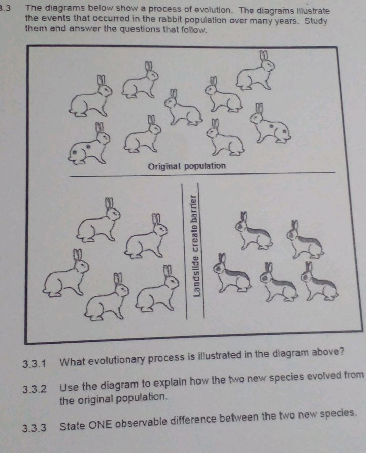 3.3 The diagrams below show a process of | StudyX