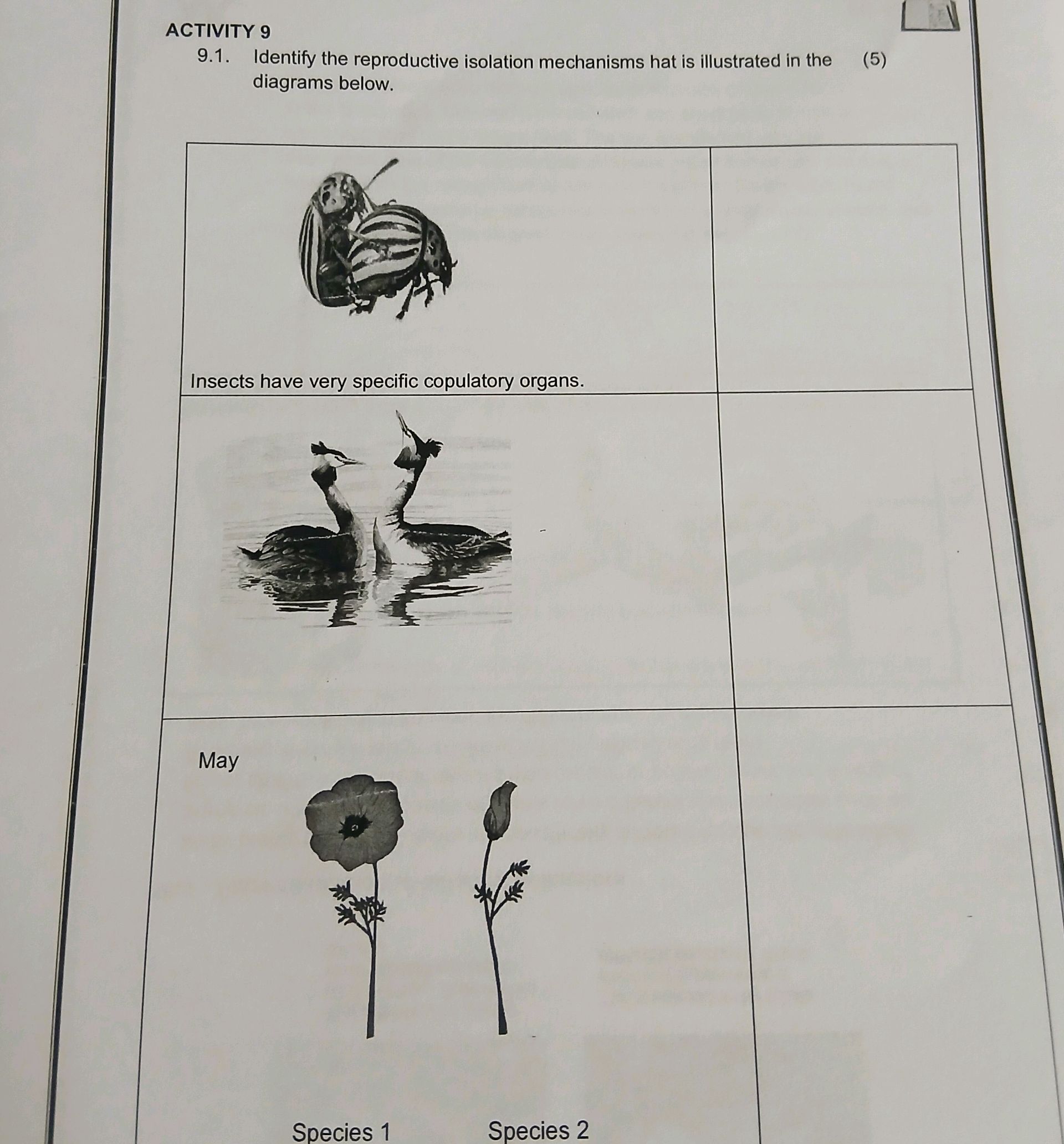 ACTIVITY 9 9.1. Identify the reproductive | StudyX