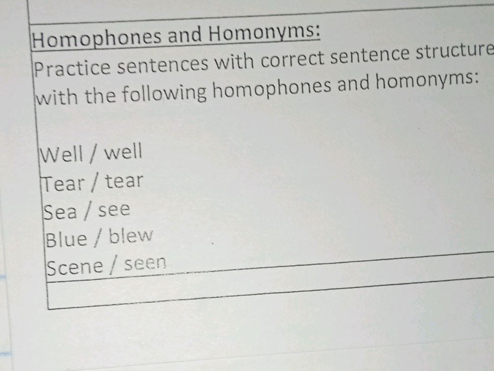 Homophones and Homonyms: Practice sentences | StudyX