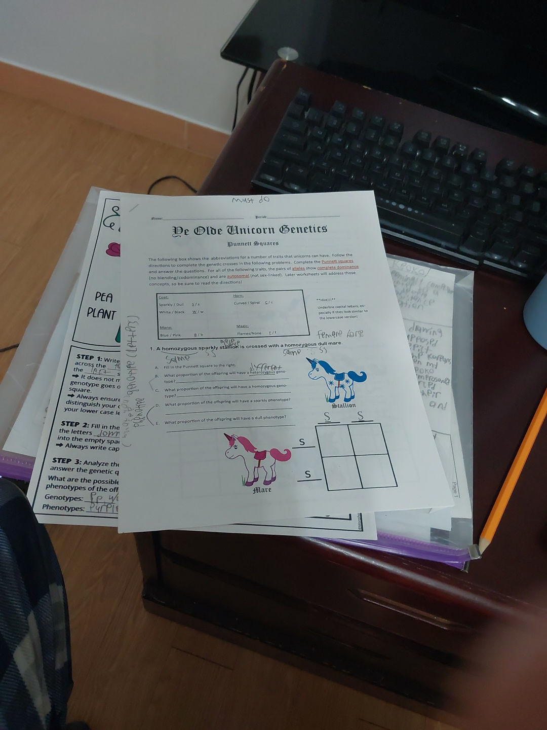 The following box shows the abbreviations | StudyX