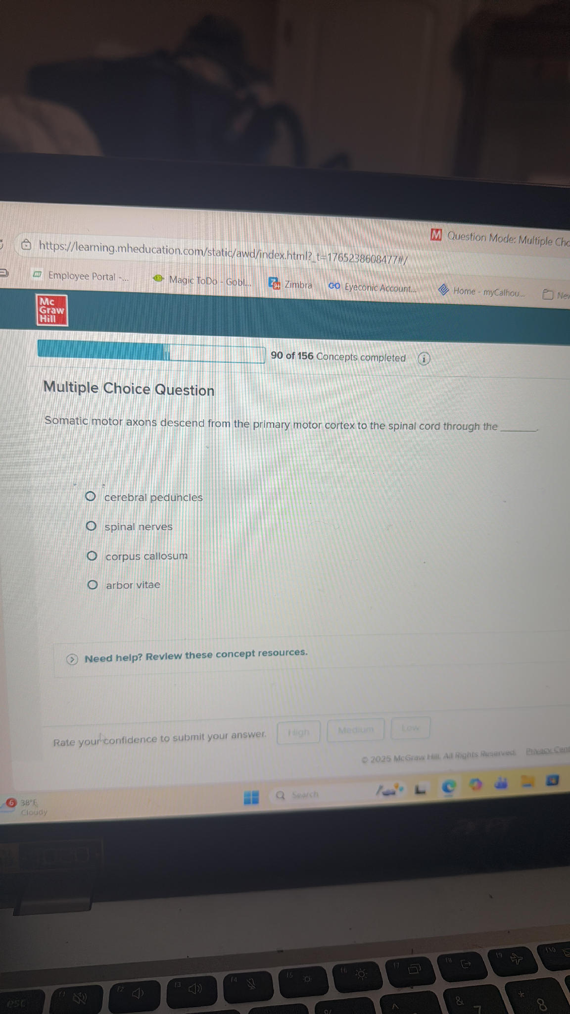 Somatic motor axons descend from the primary | StudyX