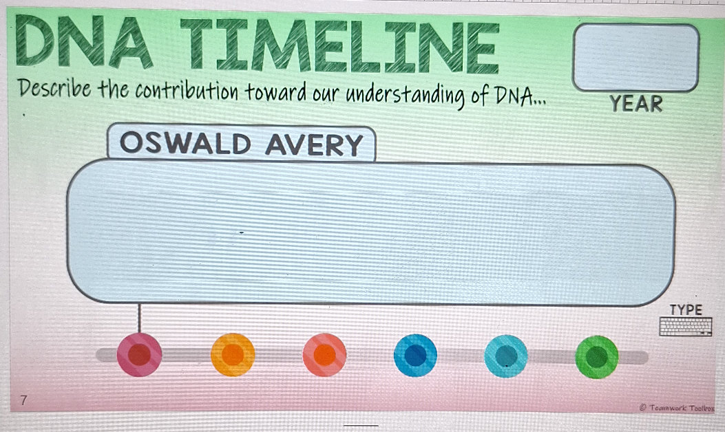 DNA TIMELINE Describe the contribution | StudyX