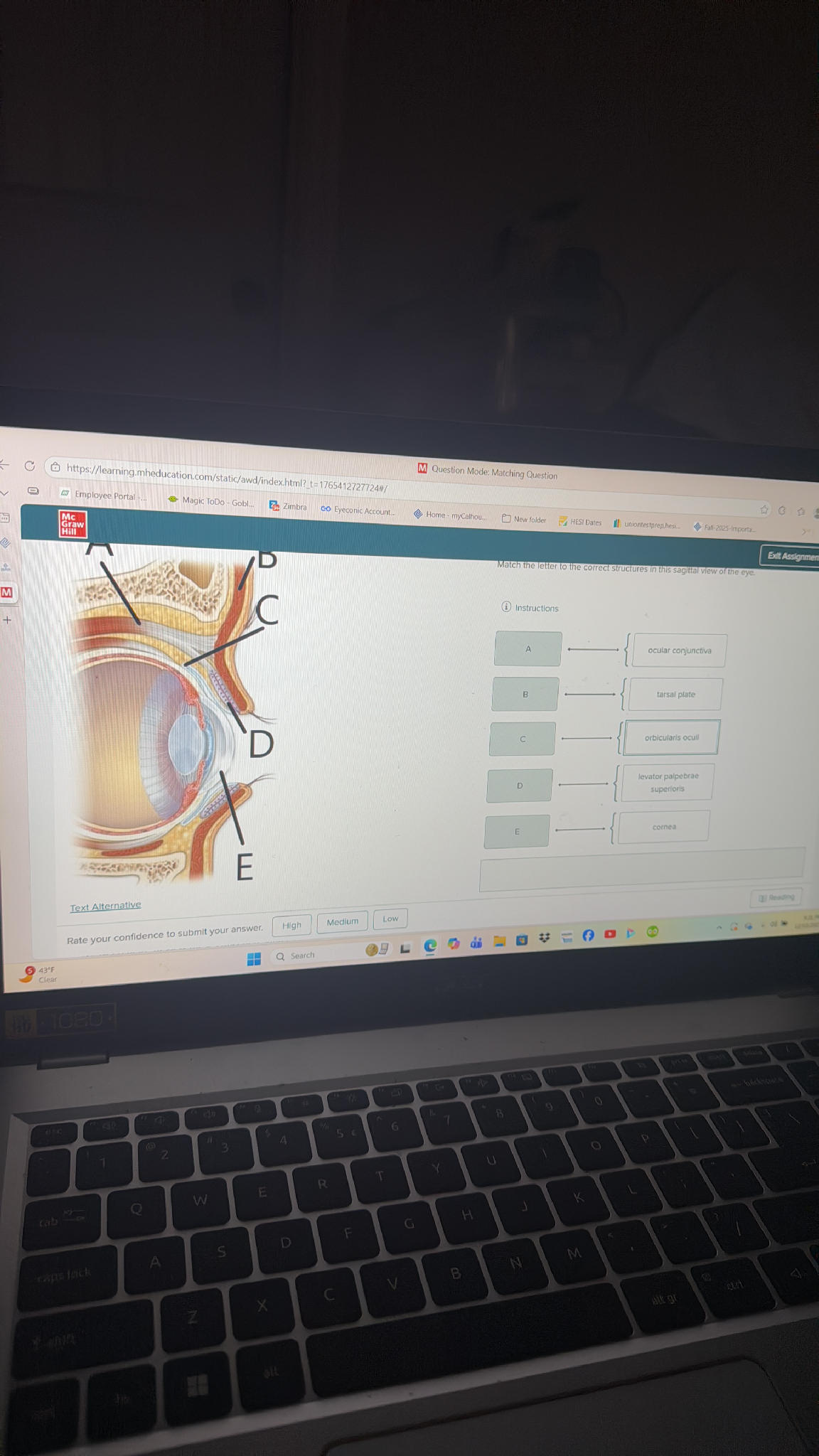 Match the letter to the correct structures | StudyX