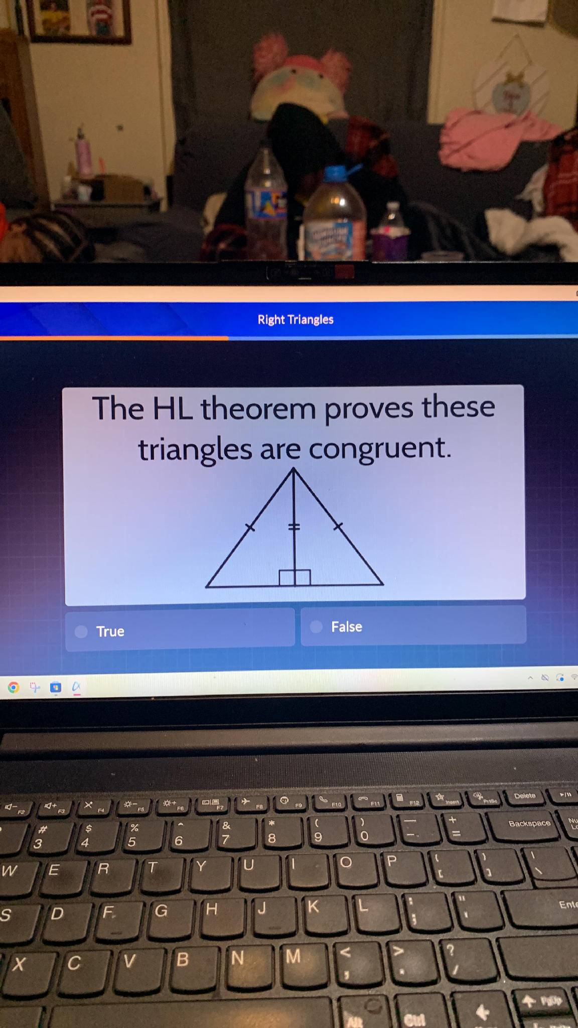 The HL theorem proves these triangles are | StudyX